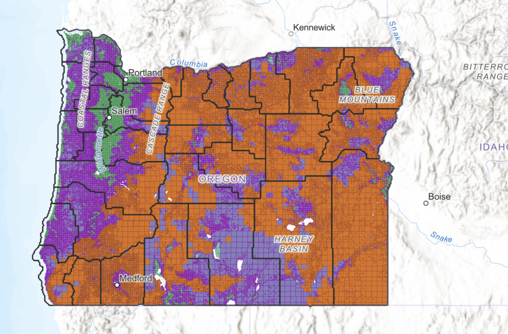 Governor Kotek Pauses Wildfire Hazard Map Appeals Referrals